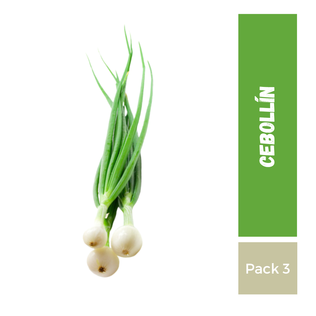 Cebollín Orgánico Pack 3 unidades – Prix